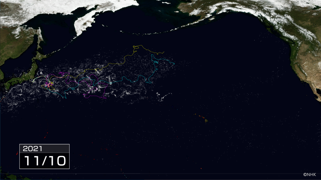 The 8K visualization of microplastic pollution in the Pacific Ocean ...